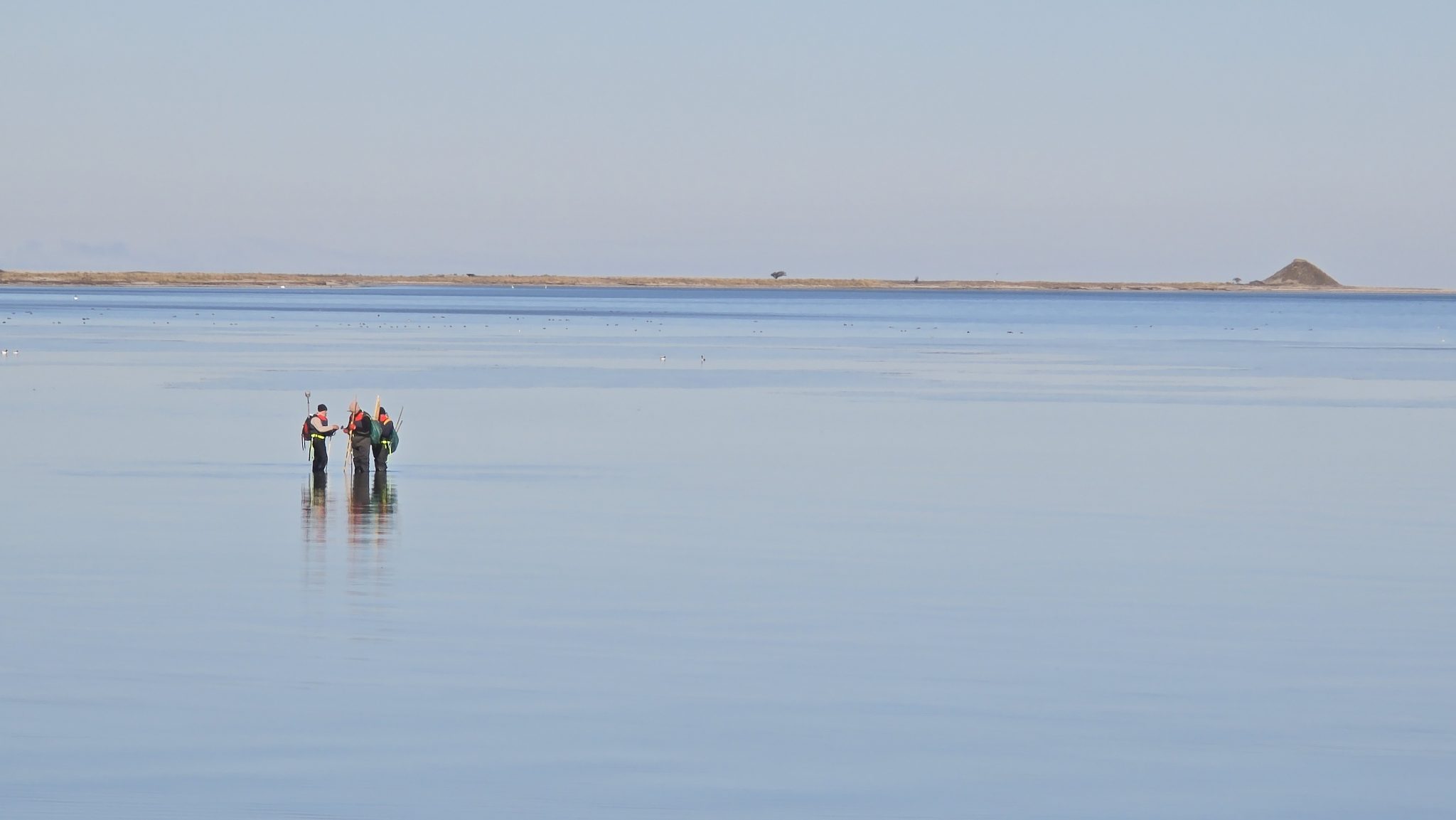 Application innovation in Denmark’s coastal transition zone - Geofizyka ...