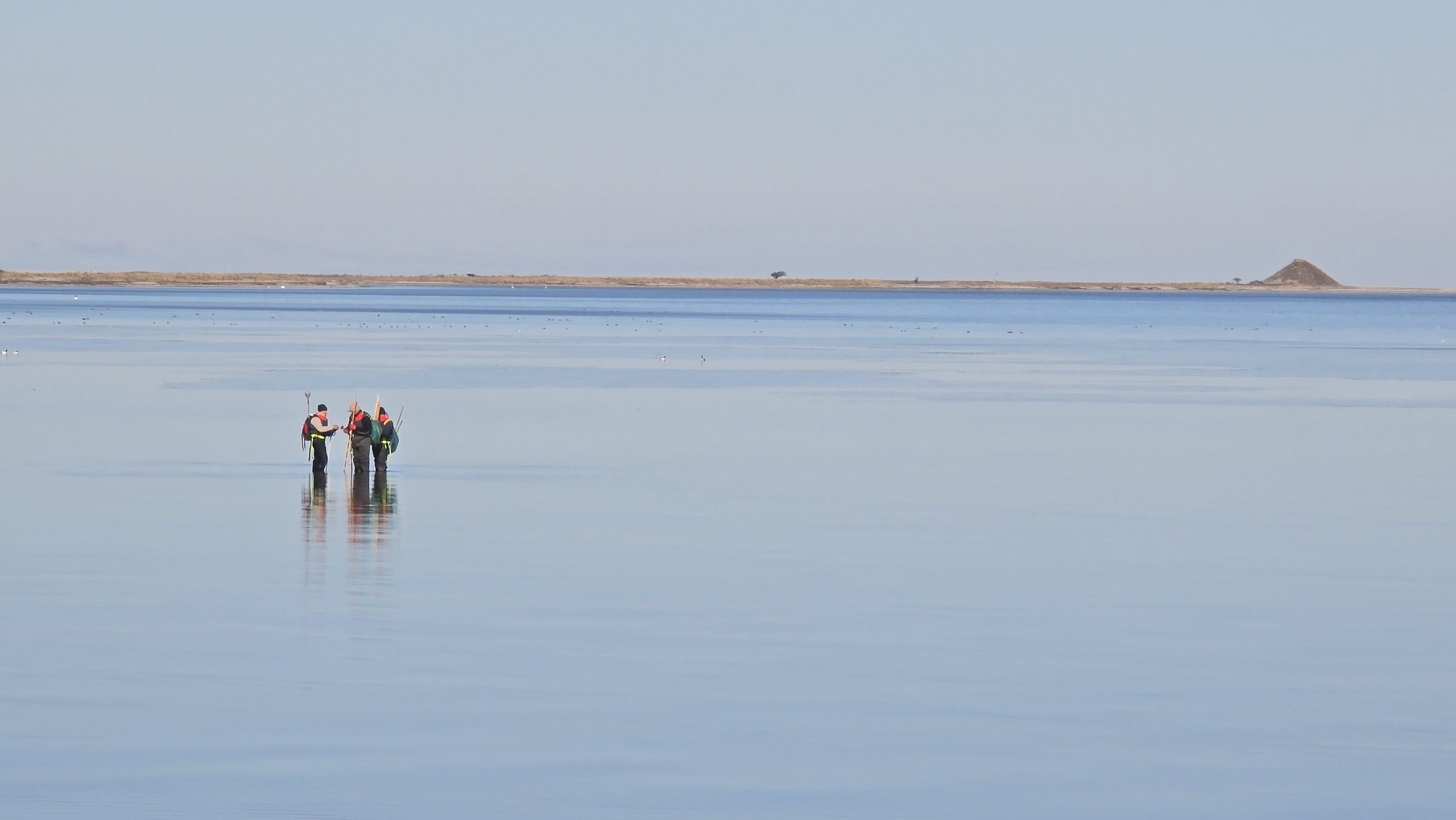 Application innovation in Denmark’s coastal transition zone - Geofizyka ...